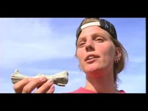 Bill Nye the Science Guy S01E03 Dinosaurs - YouTube