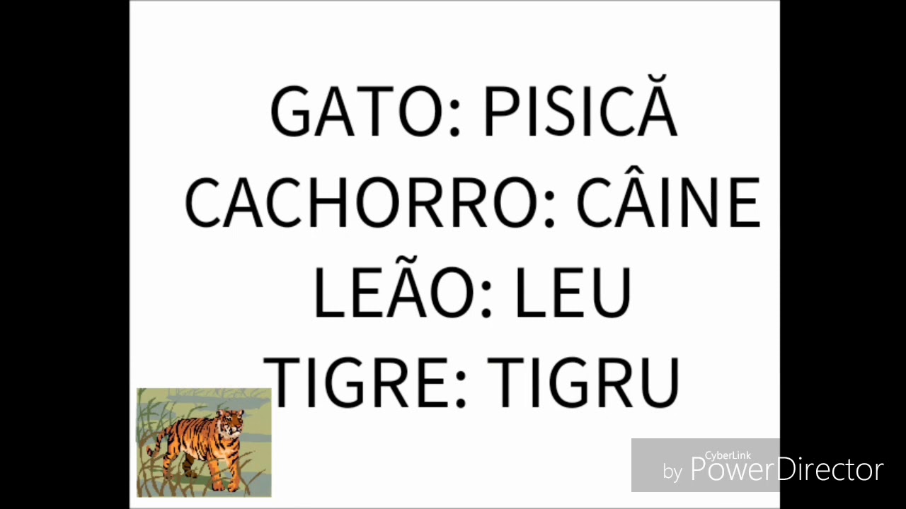 Animais em Romeno (parte 1) - Vocabulário Romeno - YouTube
