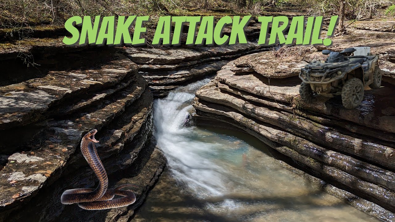 Trail King Attacked By A Snake! Can-Am Outlander & Kawasaki Brute Force ...