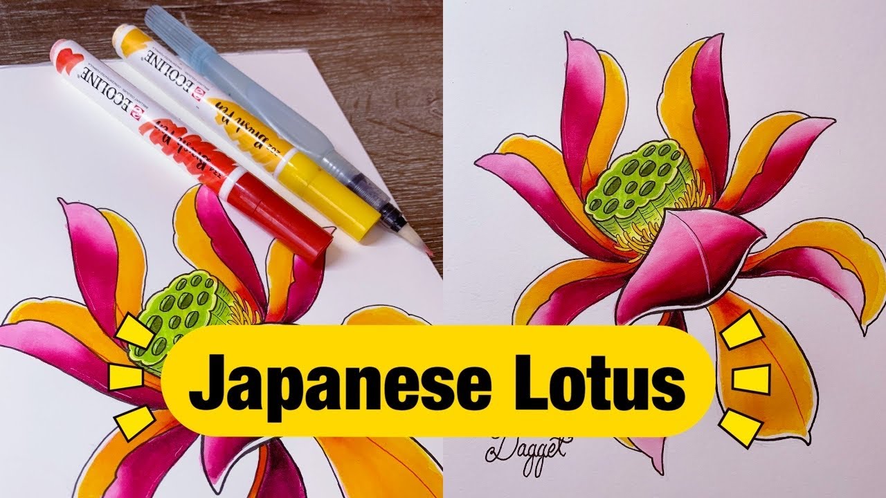 Japanese Lotus Flower Drawing