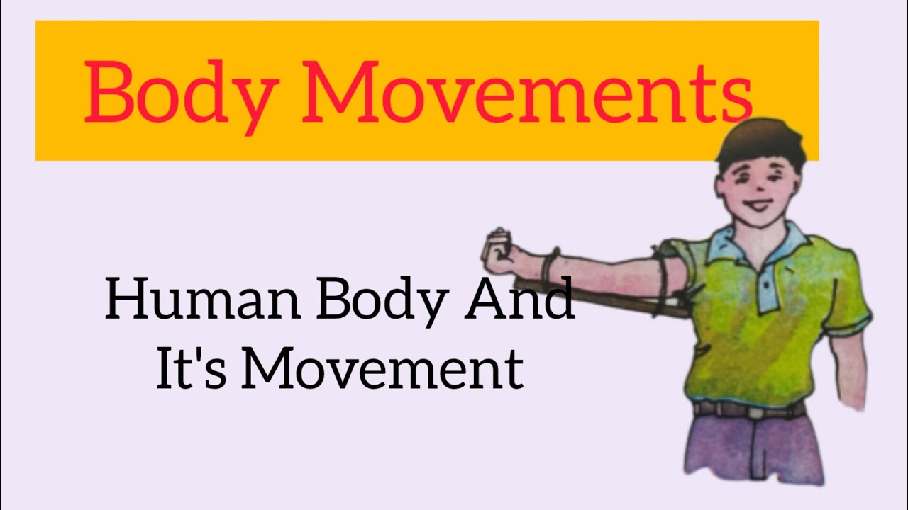 Human Body And Its Movements - Body Movements/ Activity 1/ Class- 6 ...