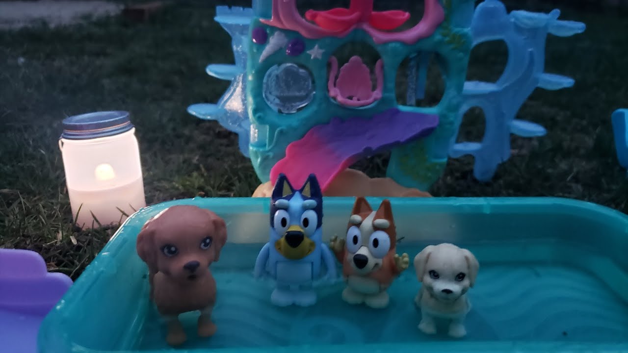 Nighttime Swim! Bluey and Bingo! -Pups swim with Bluey and Bingo -Puppy ...