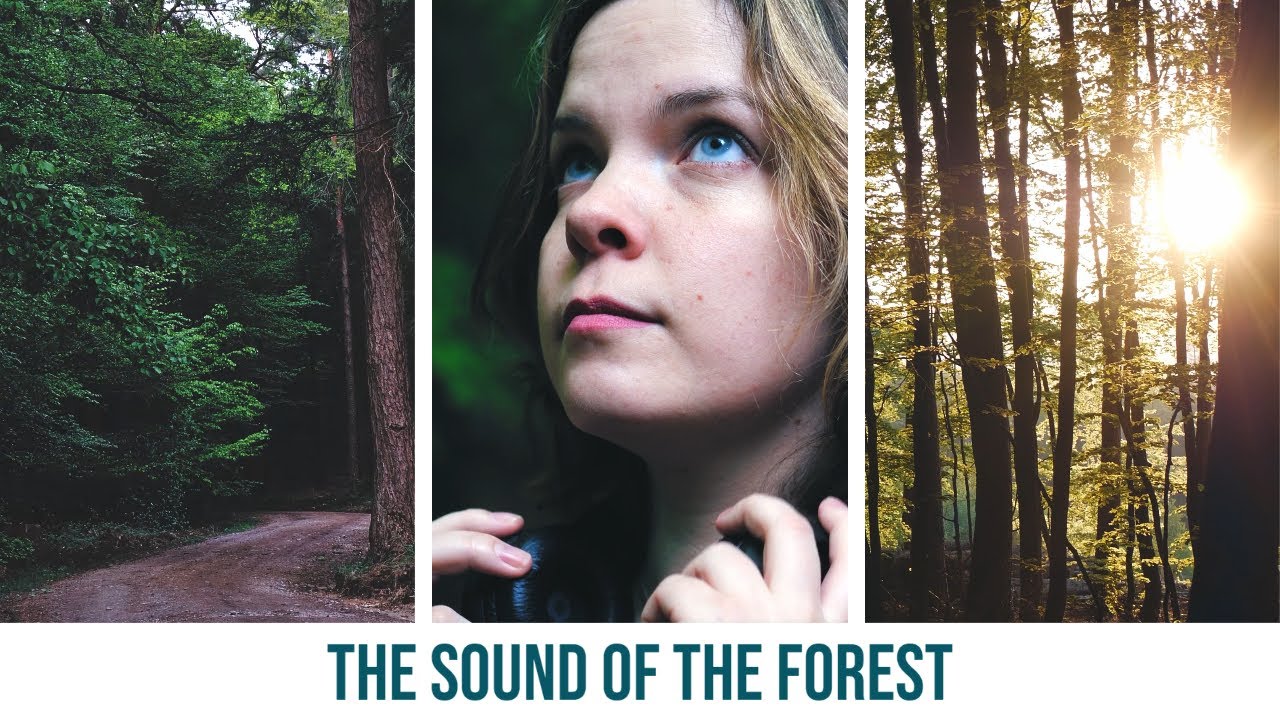 The Sound of the Forest | Short Film - YouTube