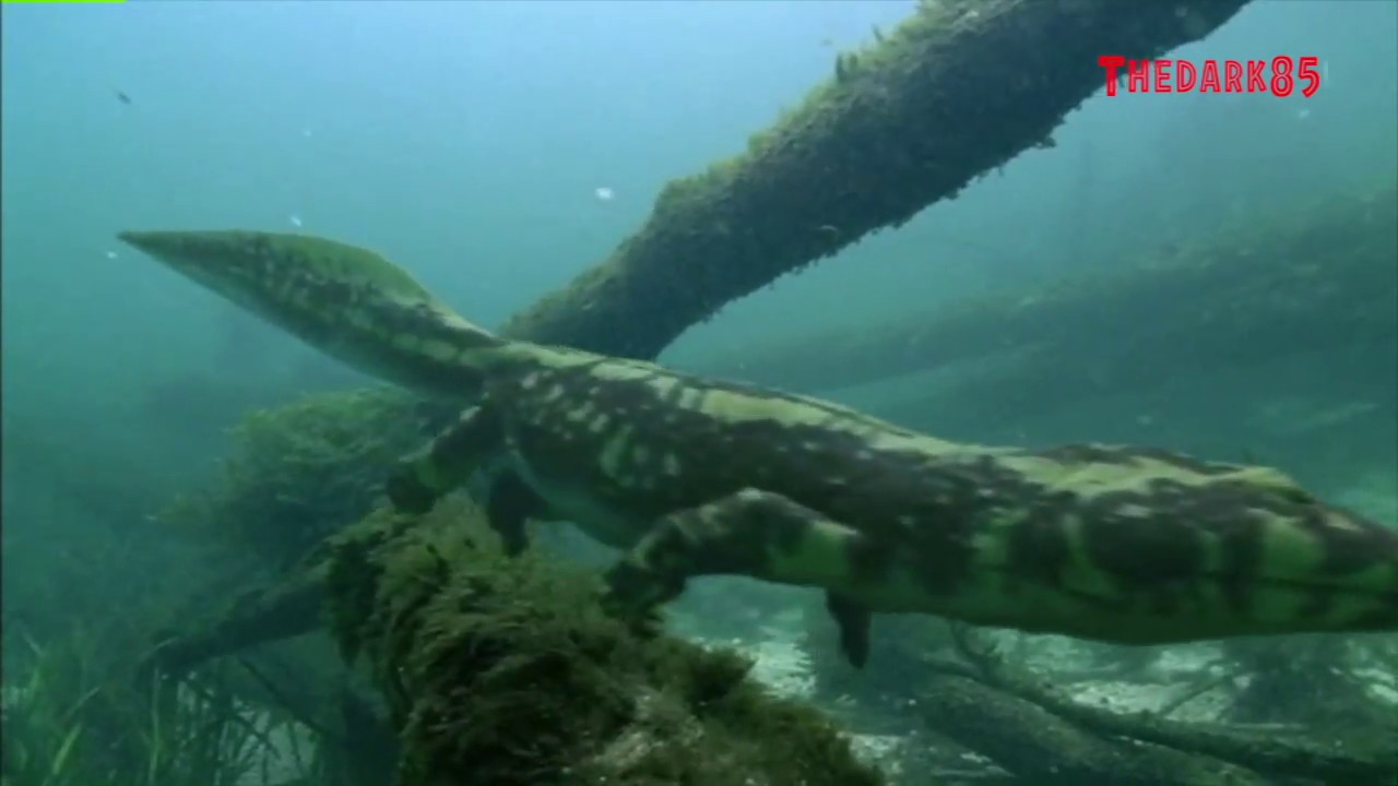 [Extrait] Sur la Terre des Géants : Hyneria et Hynerpeton (HD) - YouTube