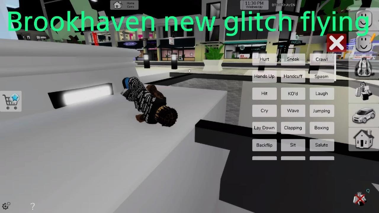 New glitch on Brookhaven flying - YouTube