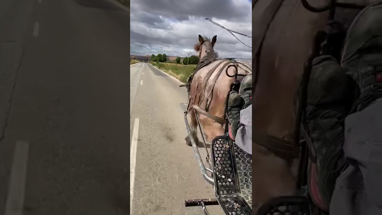 Fidel des Rechaux - YouTube