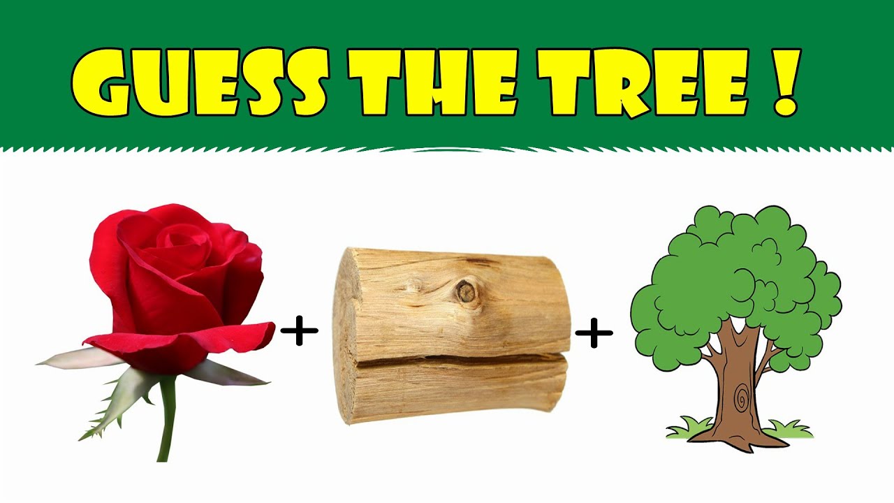 Guess Tree By Emoji? Quiz Emoji Challenge ! - YouTube