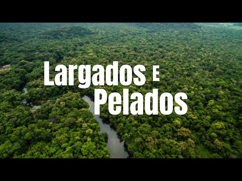 largados e pelados (ep1 nova temporada 2024)