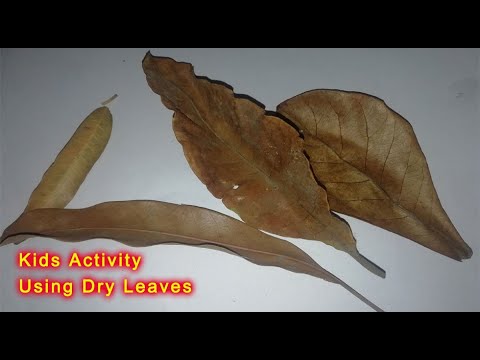 Dry leaves Activity Kids Activity Kids Activity using Dry Leaves Animal ...