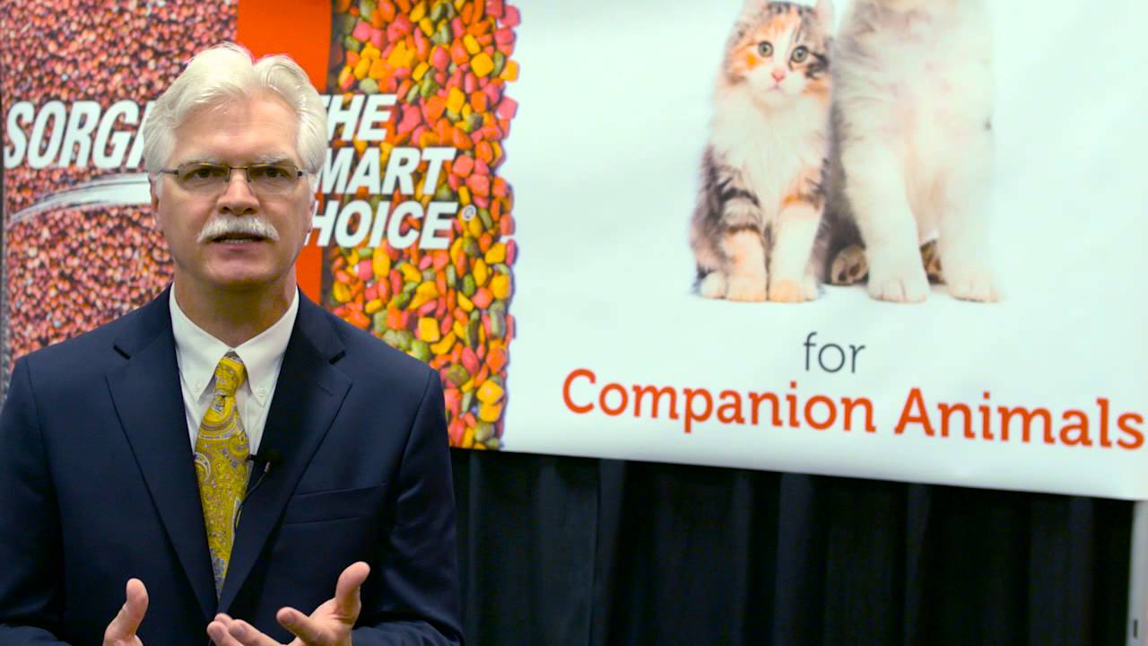 Sorghum Checkoff - Greg Aldrich - YouTube