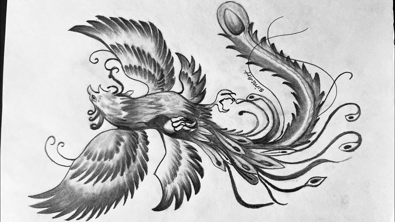 54-Raging Phoenix sketch step by step tutorial || pencilart drawing ...
