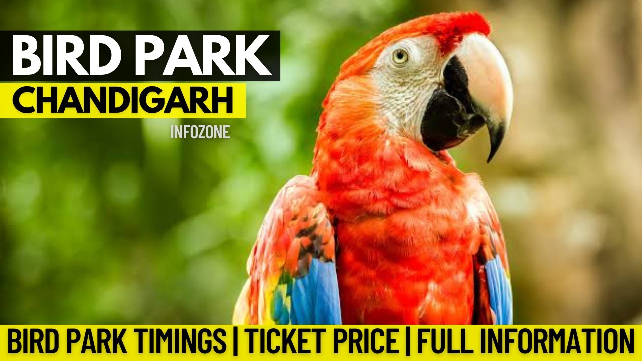 Bird Park Chandigarh | Best Place to Visit in Chandigarh | Chandigarh ...
