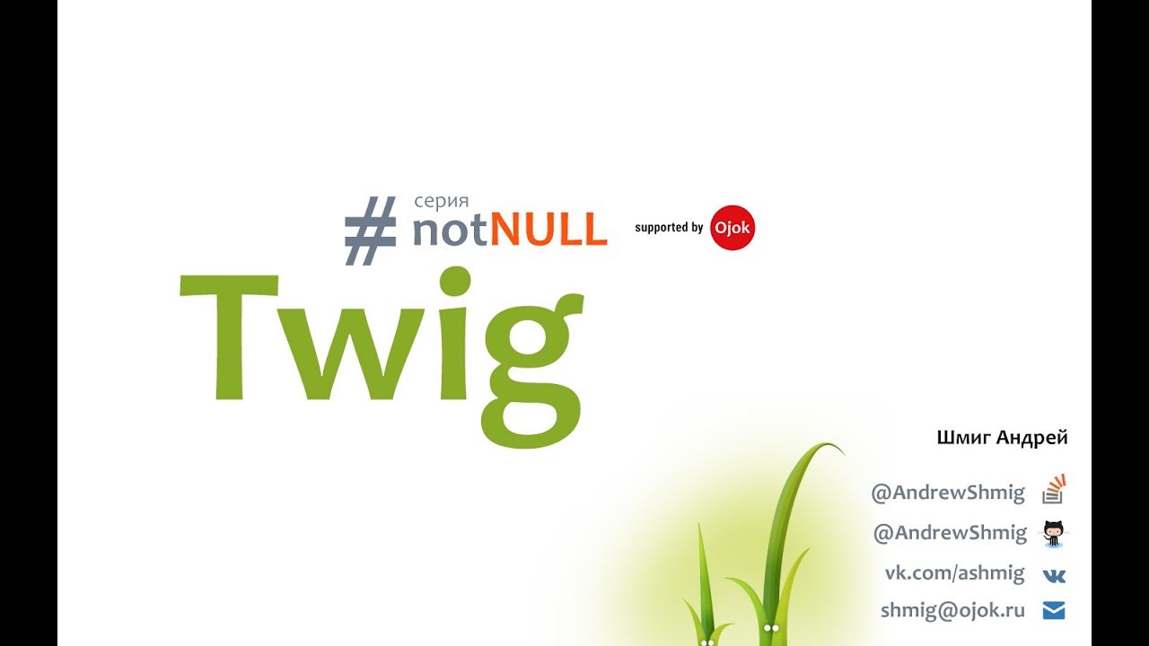 Серия Notnull Twig Вводное Youtube