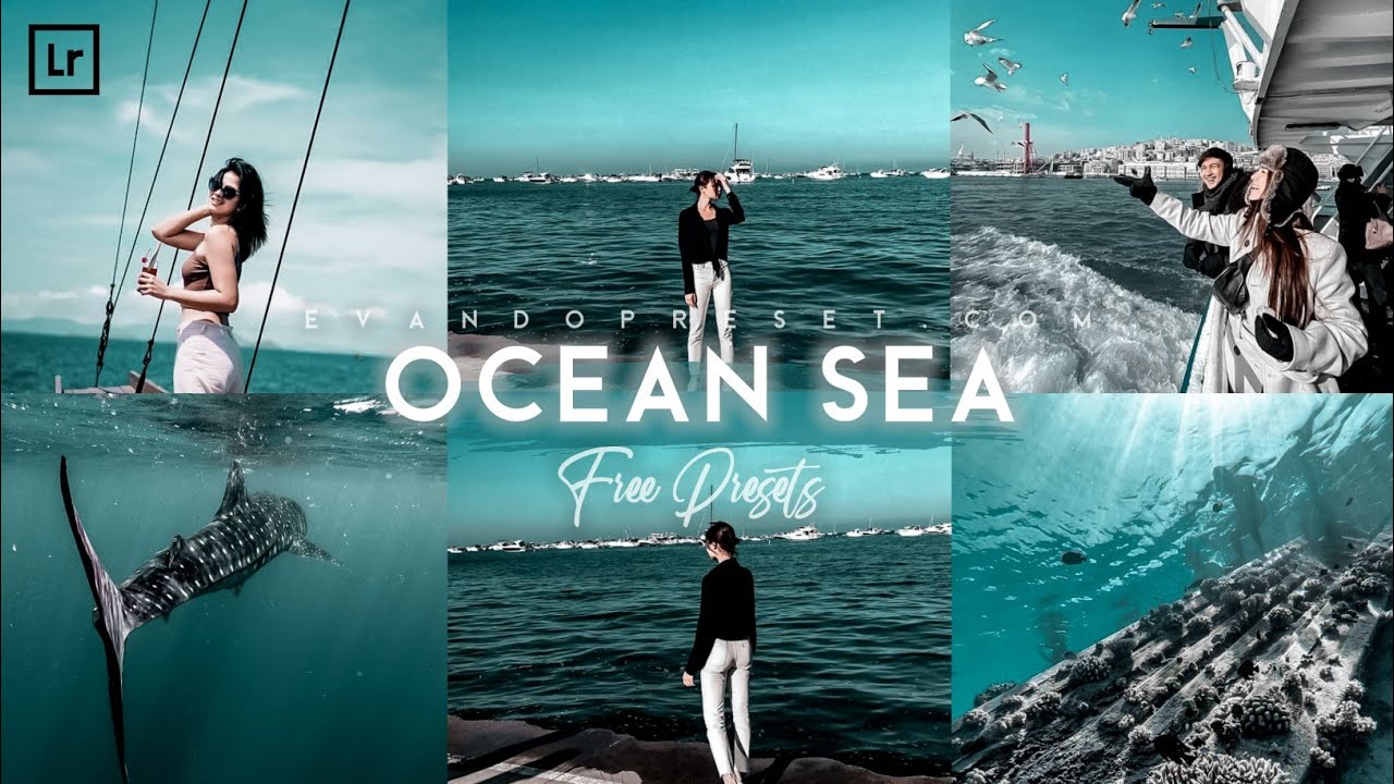 Ocean Preset Lightroom | Lightroom Mobile Tutorial | Free Presets - YouTube
