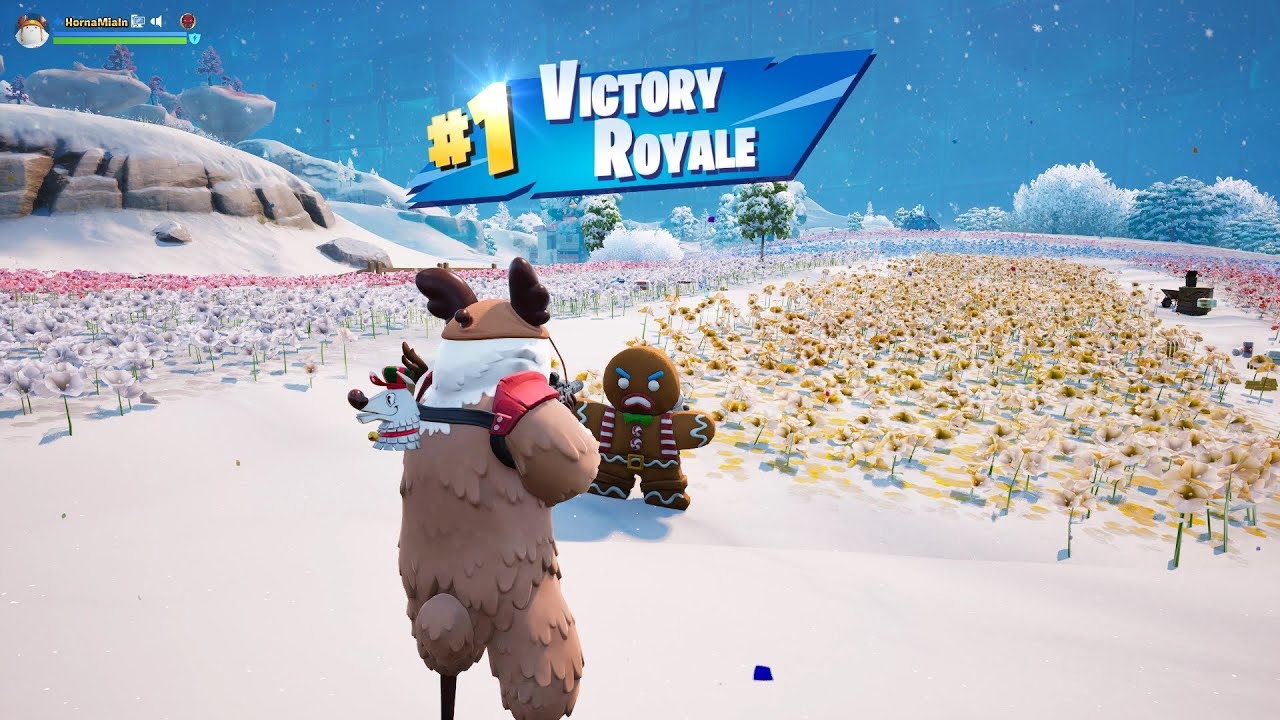 Fortnite Chapter 6 Season 1 Battle Royale Duos Victory Royale game ...