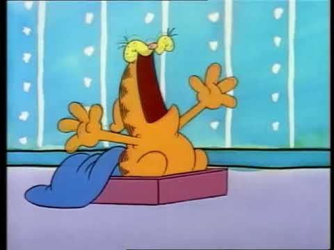 Garfield e i suoi amici [S1EP1]: Buon Compleanno Garfield, Wade, il Ricercato & Danza Hawaiane