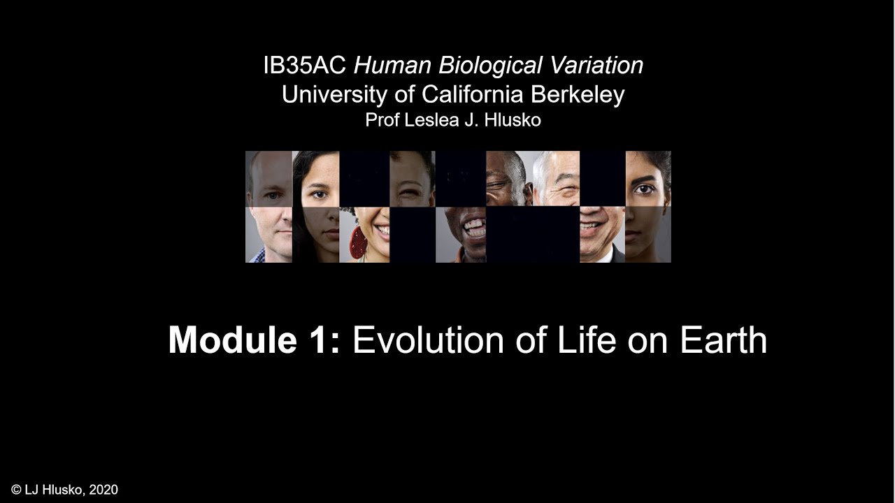 1.2 Evolution of Life on Earth - YouTube