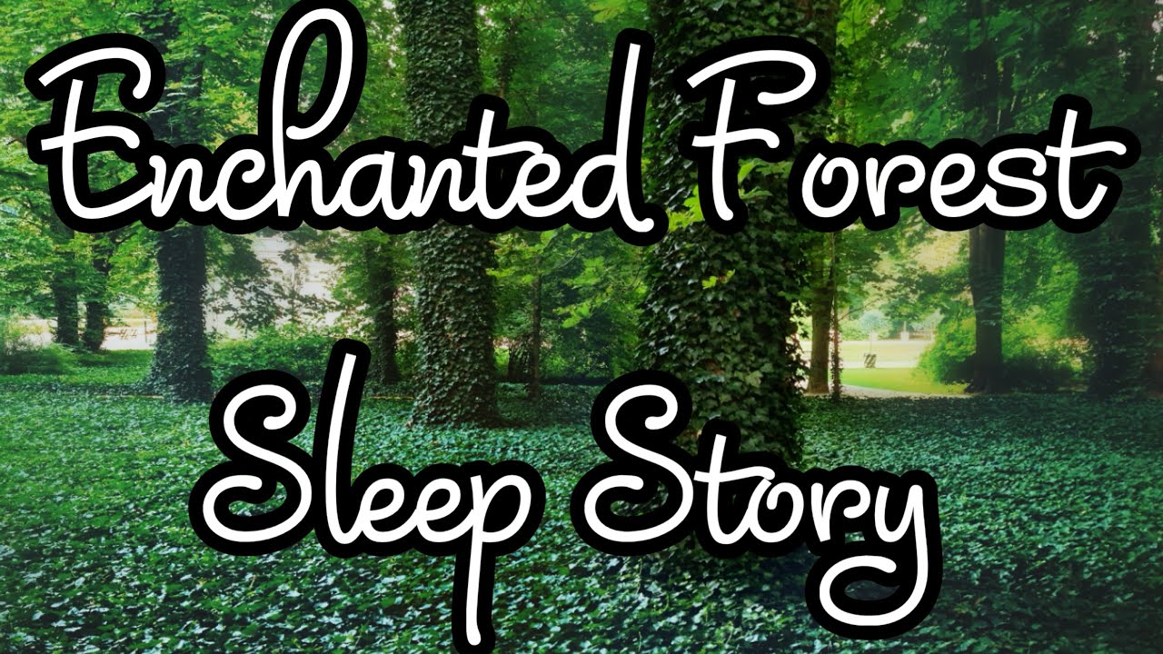 🌙 The Enchanted Forest: A Sleep Story for Deep Relaxation & Sweet ...