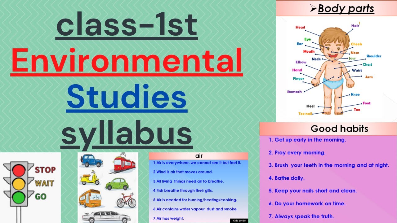 Class 1 Evs Syllabus 1st Class Evs Worksheet grade 1 Evs Lessons class-1-evs-syllabus-1st-class-evs-worksheet-grade-1-evs-lessons