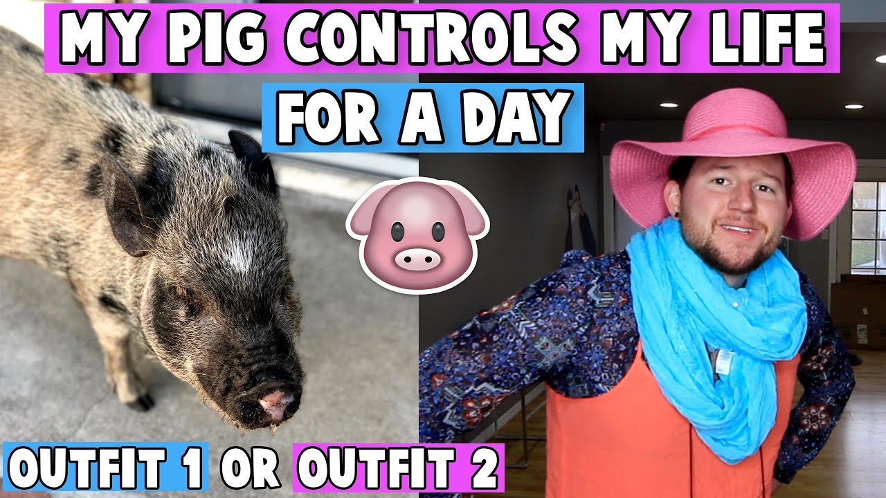 My Pet PIG Controls My Life for a Day - YouTube
