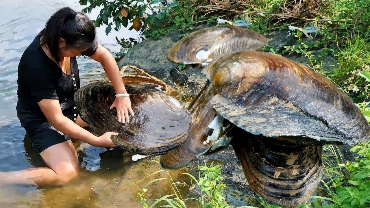 Freshwater pearl clams take you to experience the charming charm of ...