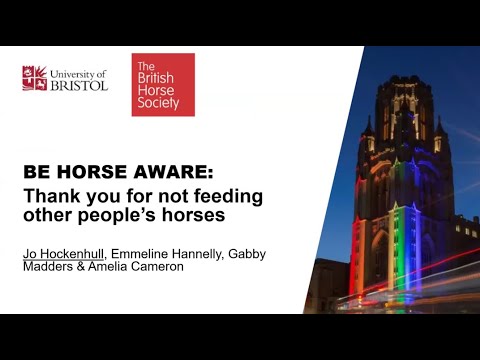 Be Horse Aware: Thank you for not feeding other people’s horses. Dr Jo ...