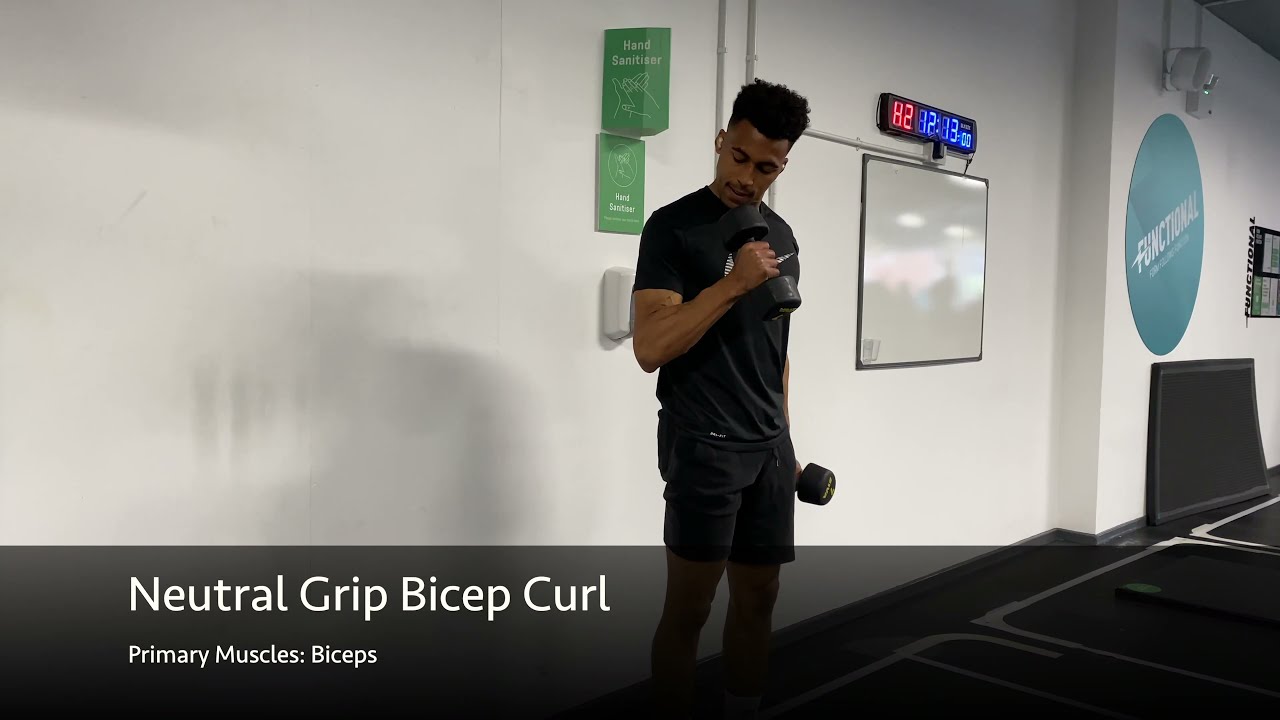 Dumbbell Bicep Curl (Neutral Grip) | Exercise Video Library - YouTube