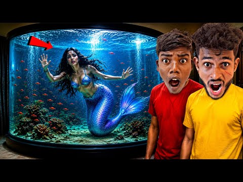 FINALY MERMAID IN CHOTU FISH TANK  | MAKING REAL MARMAID FISH TANK #factfireking 