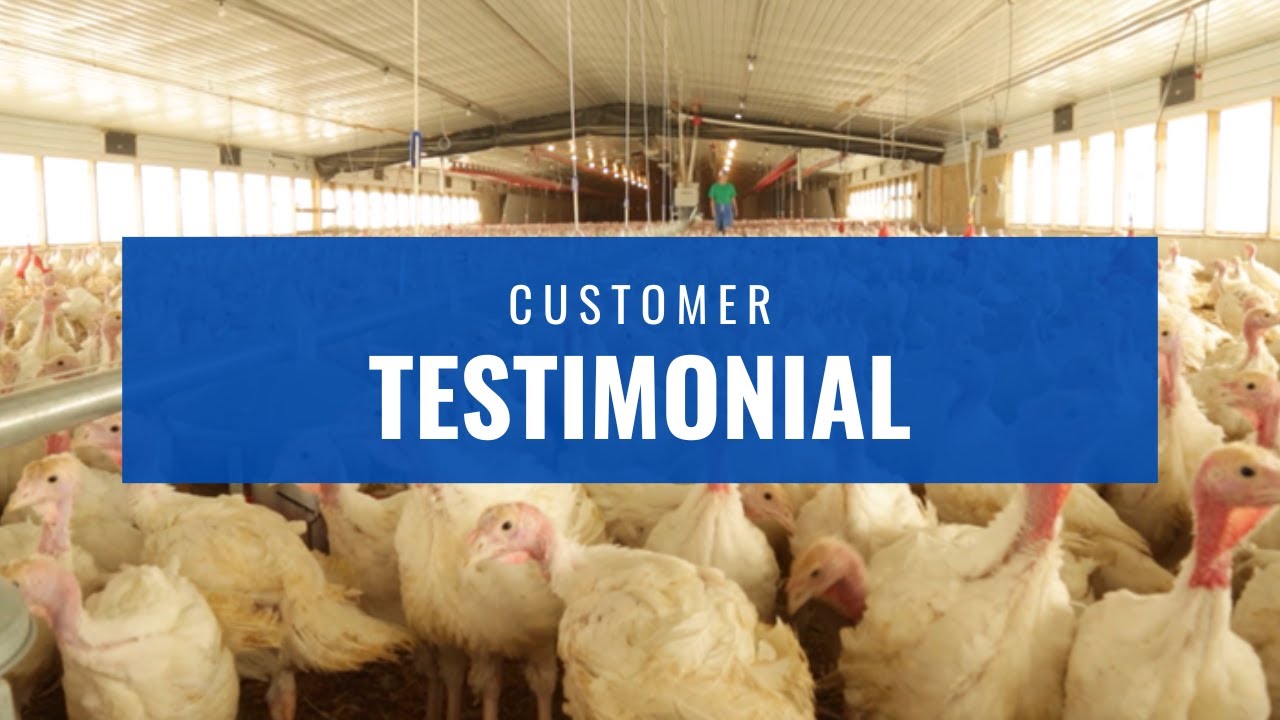 Building a Turkey Farm | Customer Testimonial - YouTube