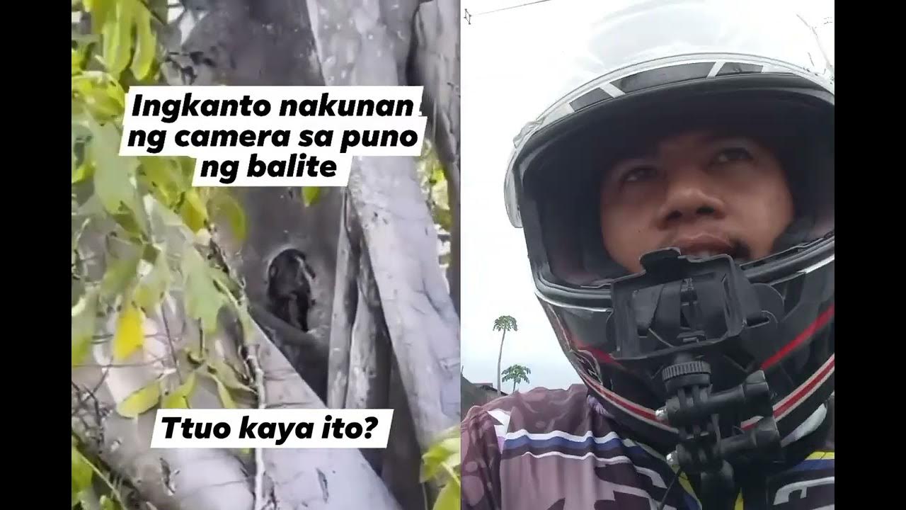 inkanto sa puno ng balite - YouTube