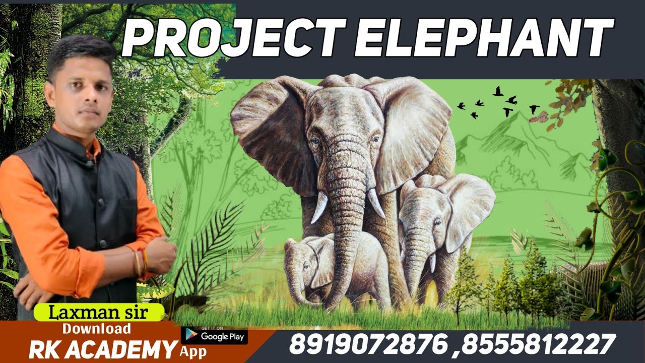 project elephant ||environment || wildlife projector of India|| by ...