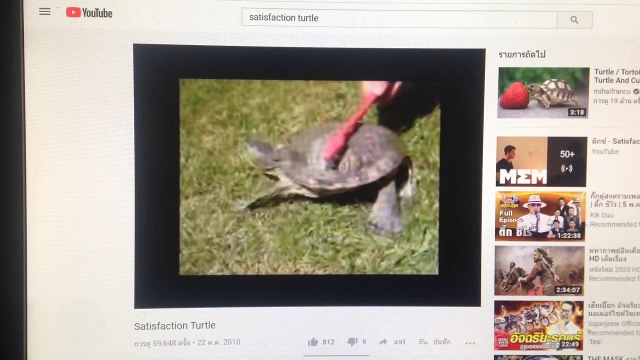 turtle dance tooth brush in back - YouTube