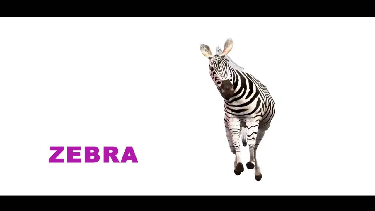 Animal Names YouTube animal-names-youtube