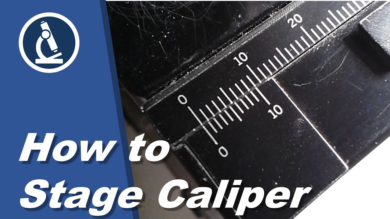 🔬 073 - What are those lines on the microscope stage good for? - YouTube