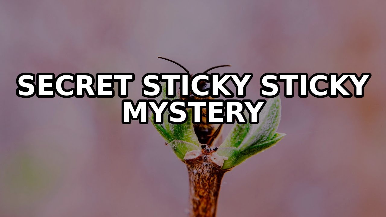 Sticky Note Mystery SOLVED - YouTube