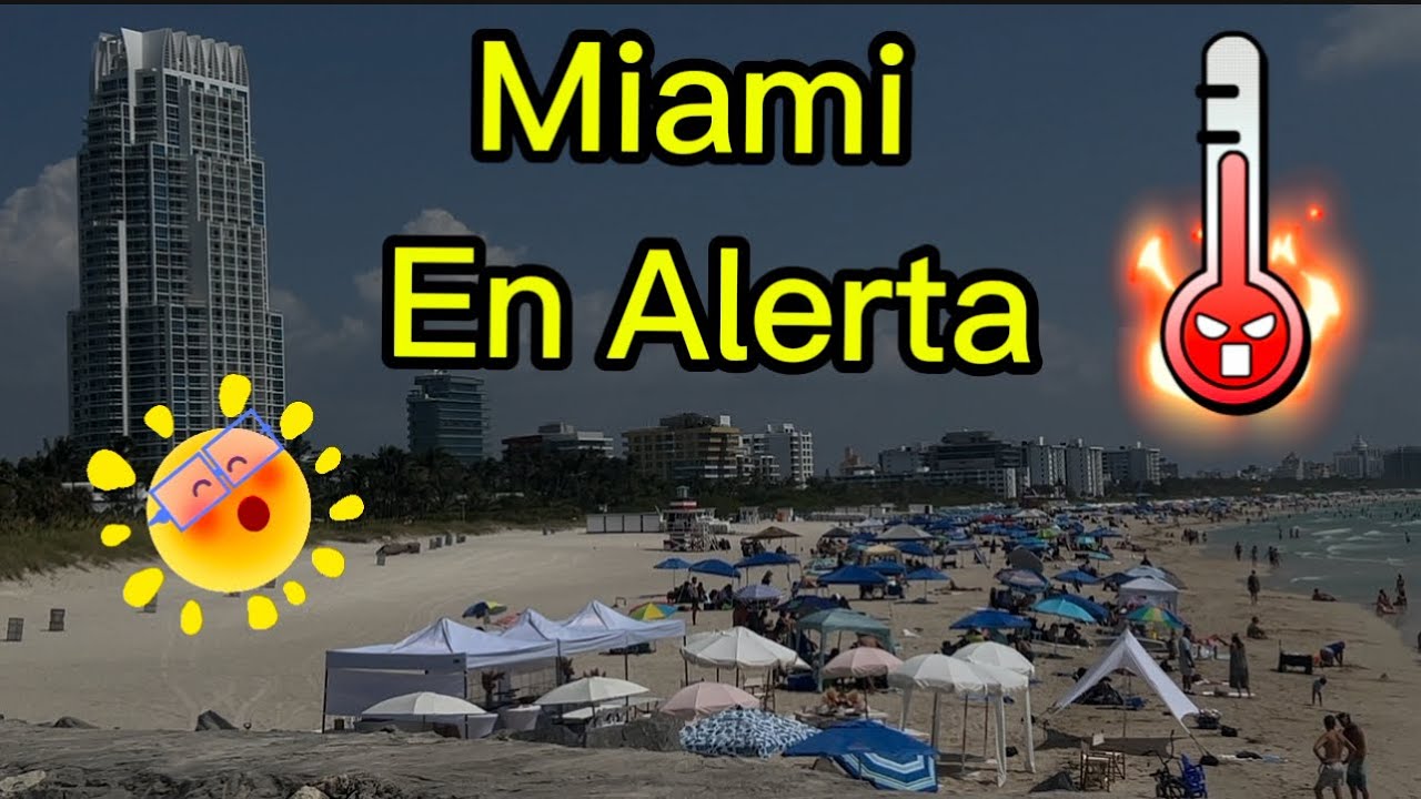 No Vengas a Miami Sin Antes Saber Esto. Alerta En Miami. - YouTube