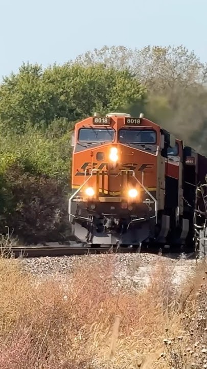 Fast BNSF Grain train! #train #bnsfrailway #bnsftrains #bnsf - YouTube