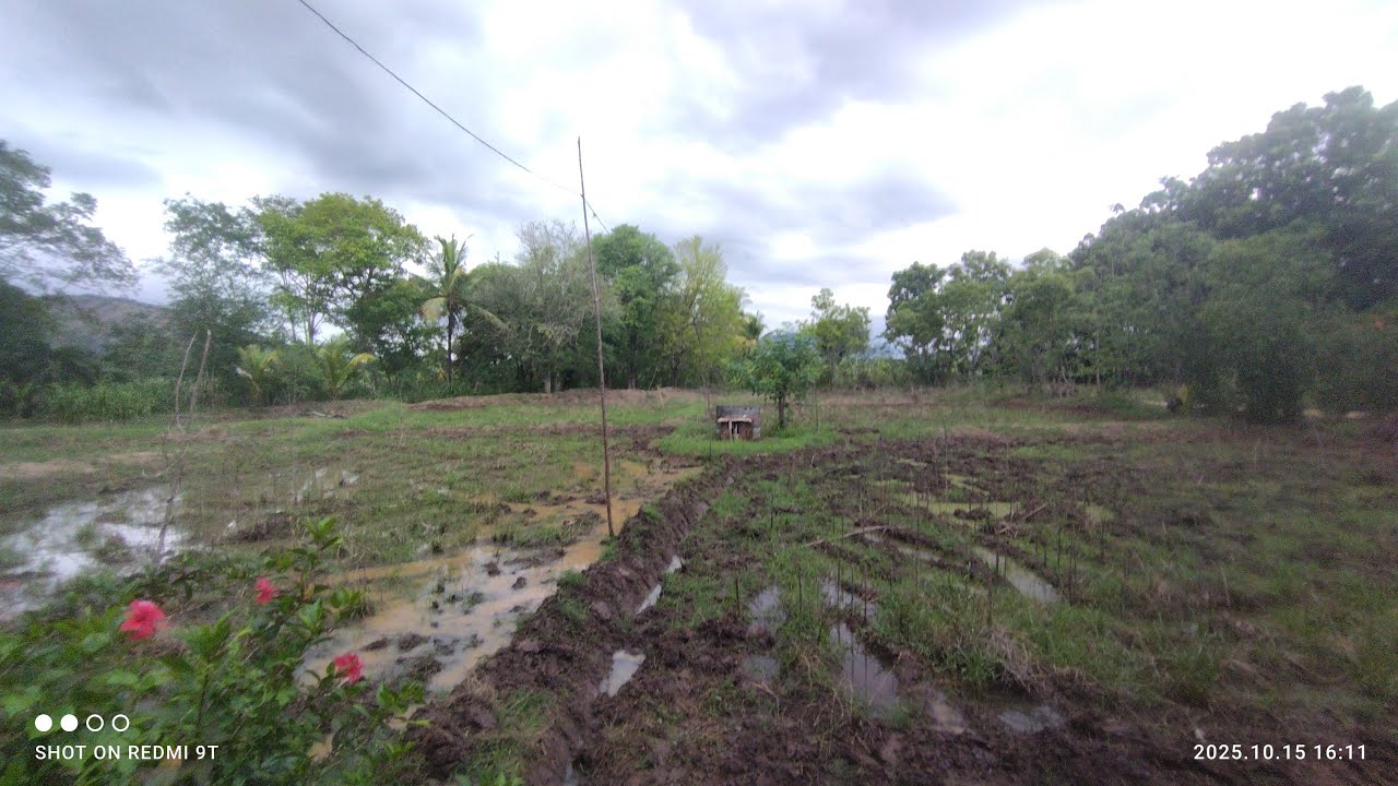 Hasitha Sampath is live - YouTube