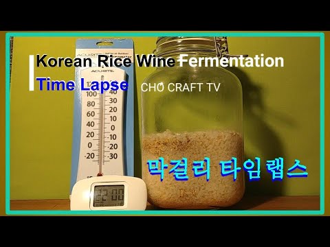 Korean Rice Wine (makgeolli) Fermentation Time Lapse. 막걸리 발효 타임랩스 - YouTube