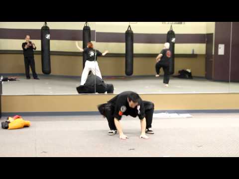 Northern Snake Form (Bai She' Chuan)   si-fu Mark Lee Pringle