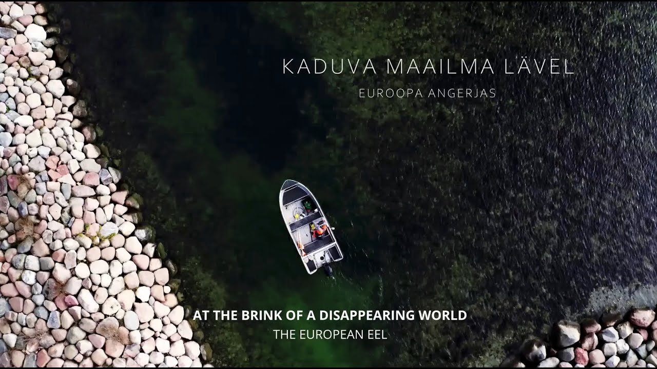 Kaduva maailma lävel - Euroopa angerjas (English SUB) - YouTube