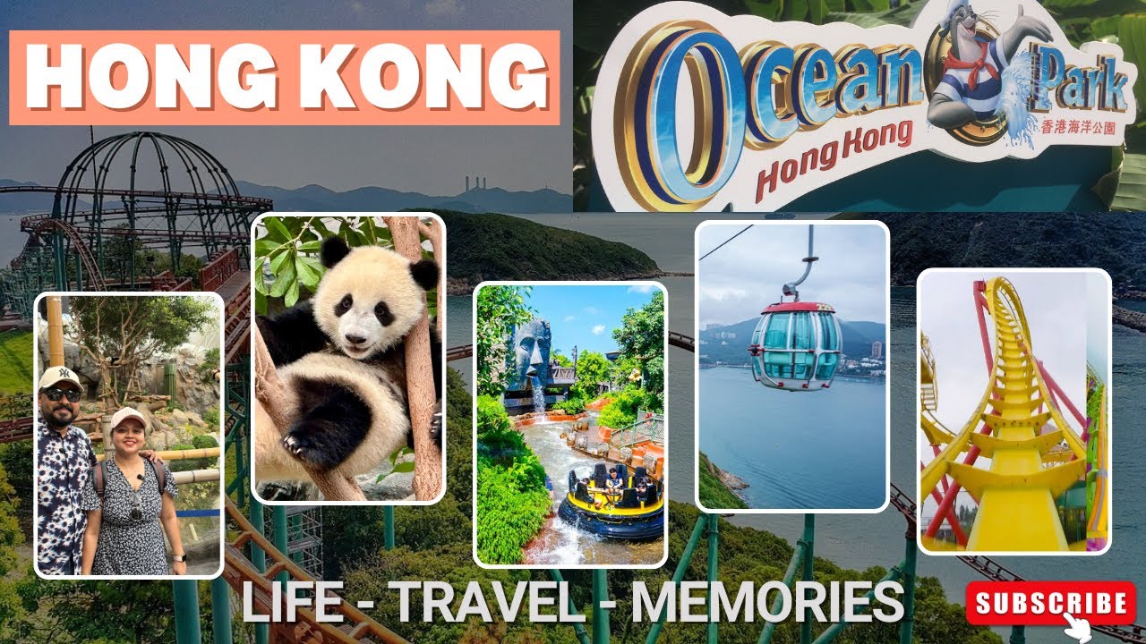 Panda Cuddles & Crazy Thrills: HK Ocean Park Best Moments: Cable Car ...