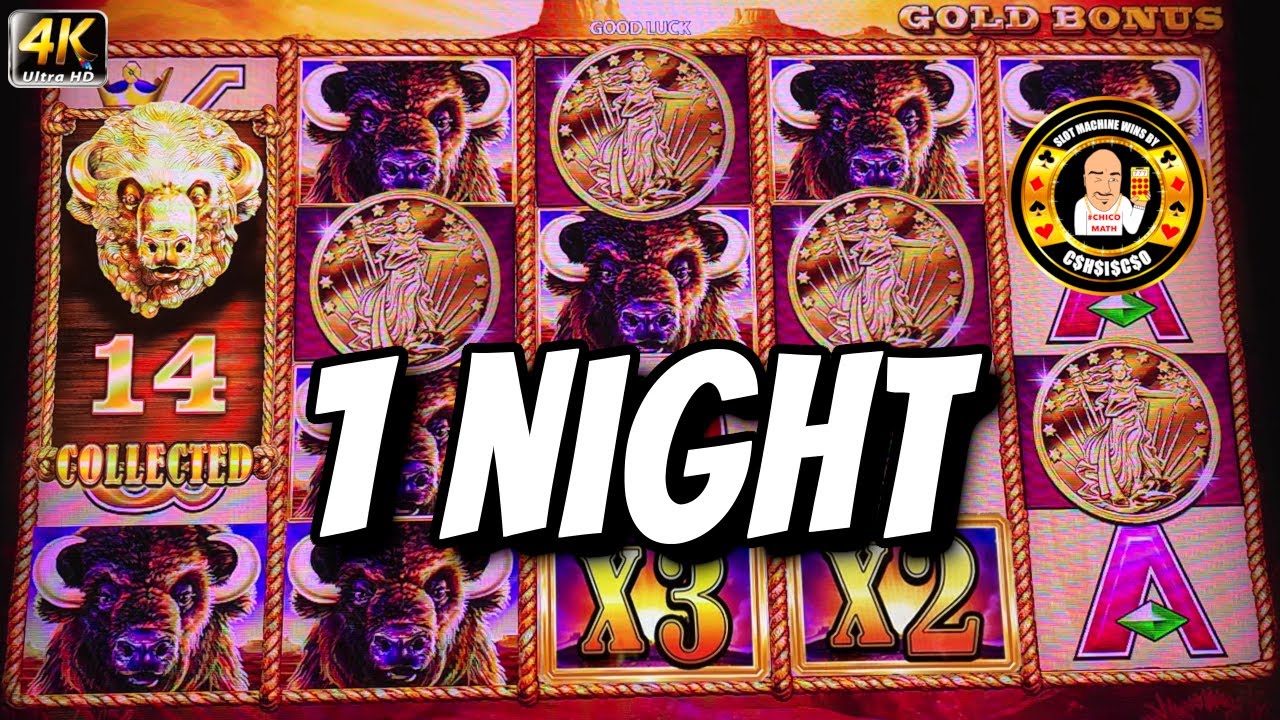1 NIGHT - 2 MAX BET Jackpot's - Buffalo Gold Slot Machines - YouTube