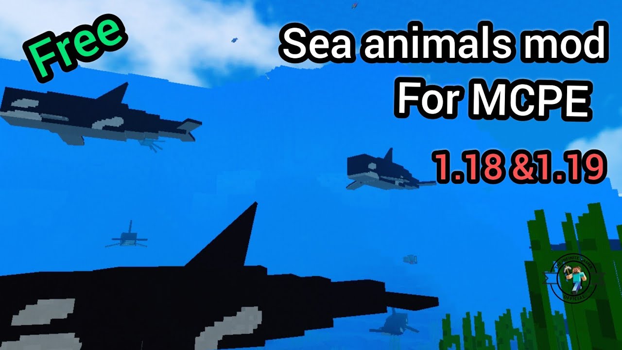 sea animals mod for minecraft pocket edition 1.18 + - YouTube