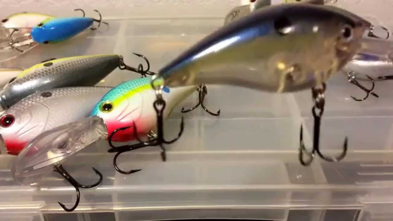 H2O express DD crank bait from academy.com - YouTube
