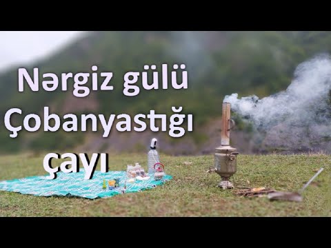 İlisu kəndində samovarda Nərgizçiçəyi çayı ☕🏞️🌳🍀
