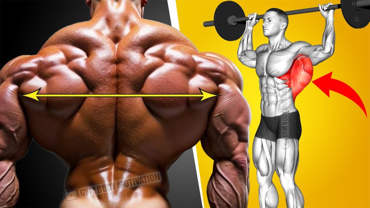 Best Back Workout at Gym, These Are Best For Growth - YouTube