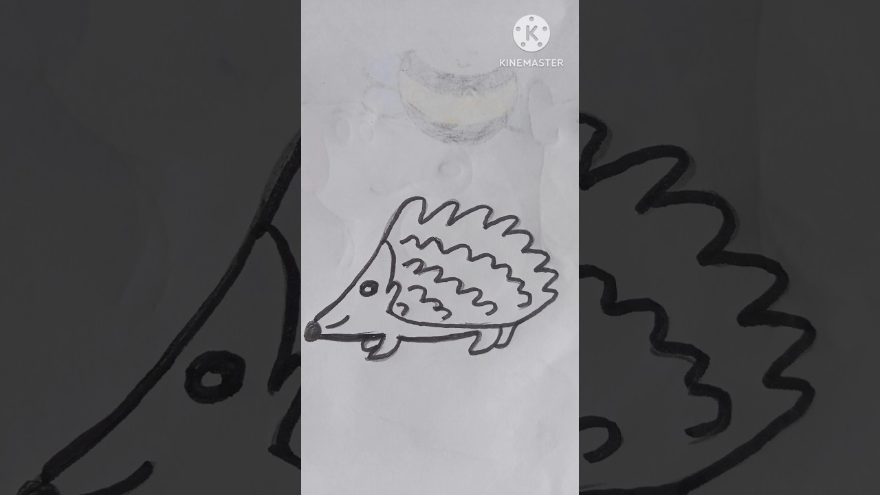 How to draw little baby Hedgehog 🦔 animal #shorts @LMArtBook - YouTube