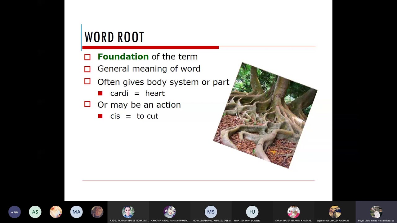 Introduction to Nursing (section 2) - Sixth Lecture (Medical ...