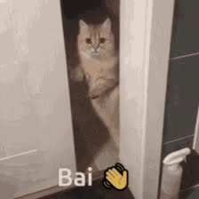 Cat Bai - YouTube